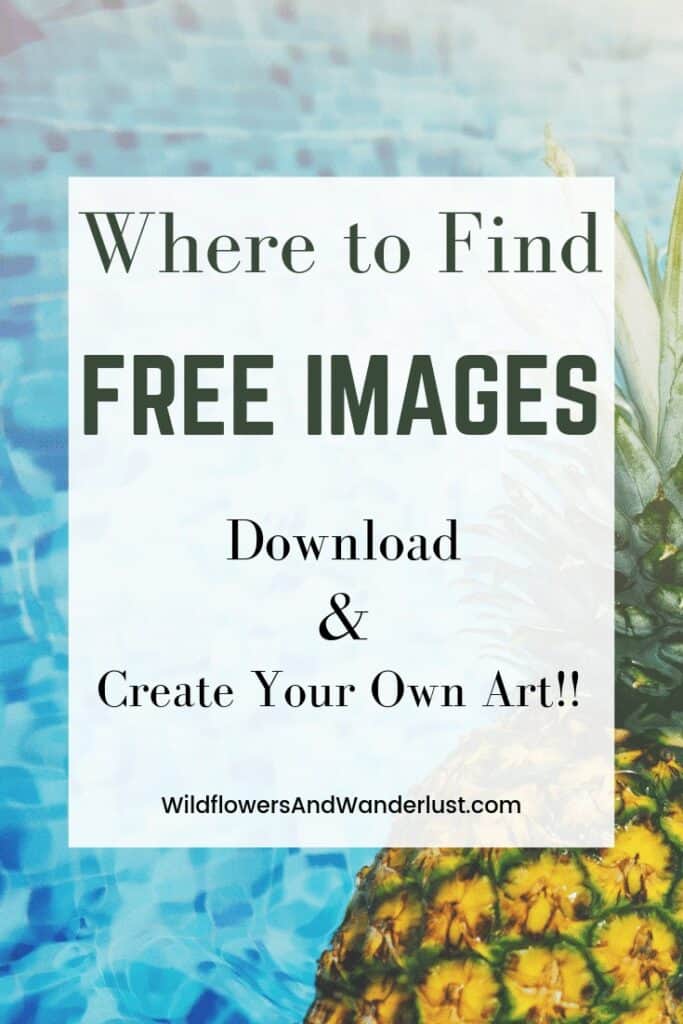 Where to Find Free Images to Create Your Own Art - Wildflowers and ...