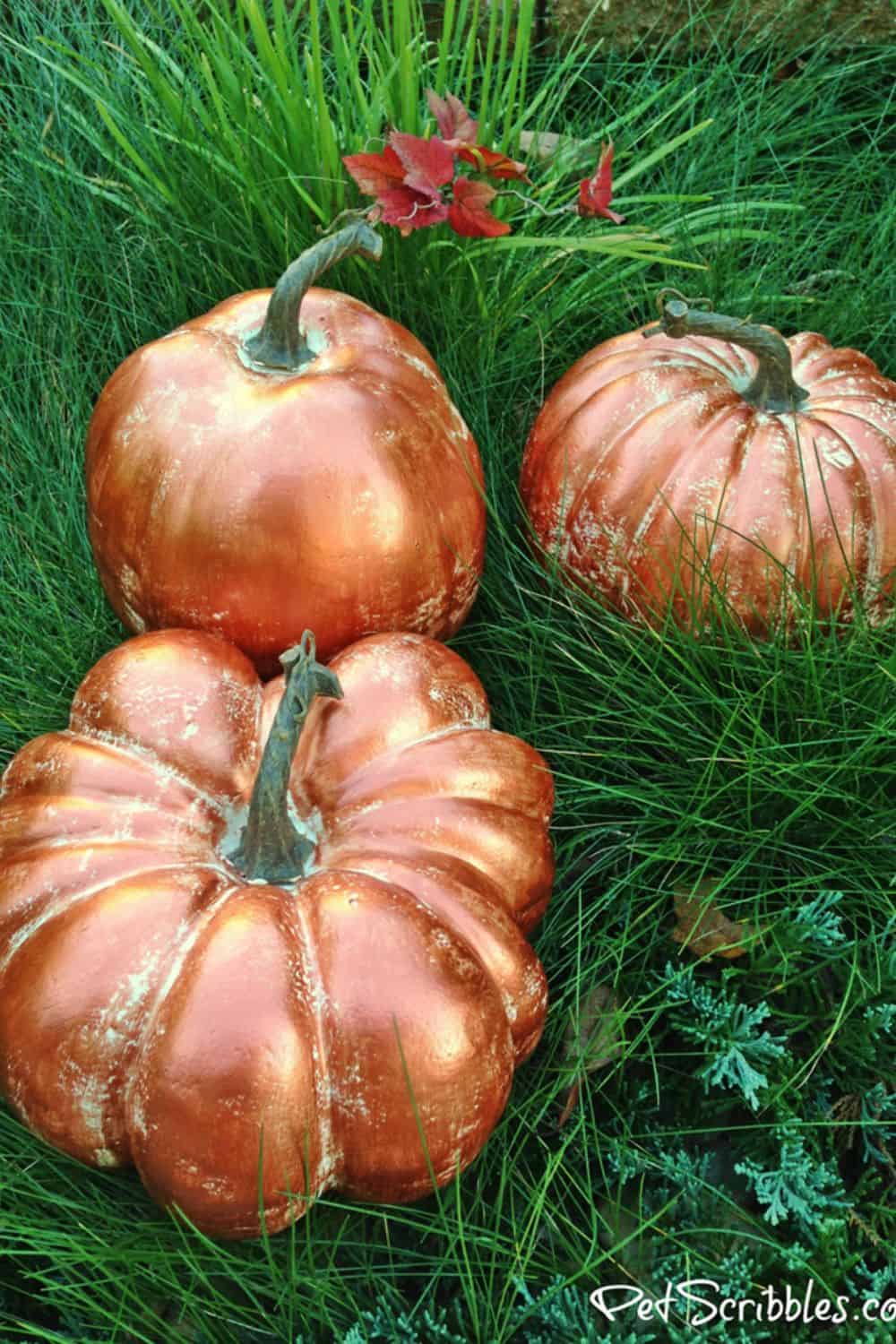 15 Beautiful Halloween Pumpkin You Won't Have to Carve - Wildflowers ...